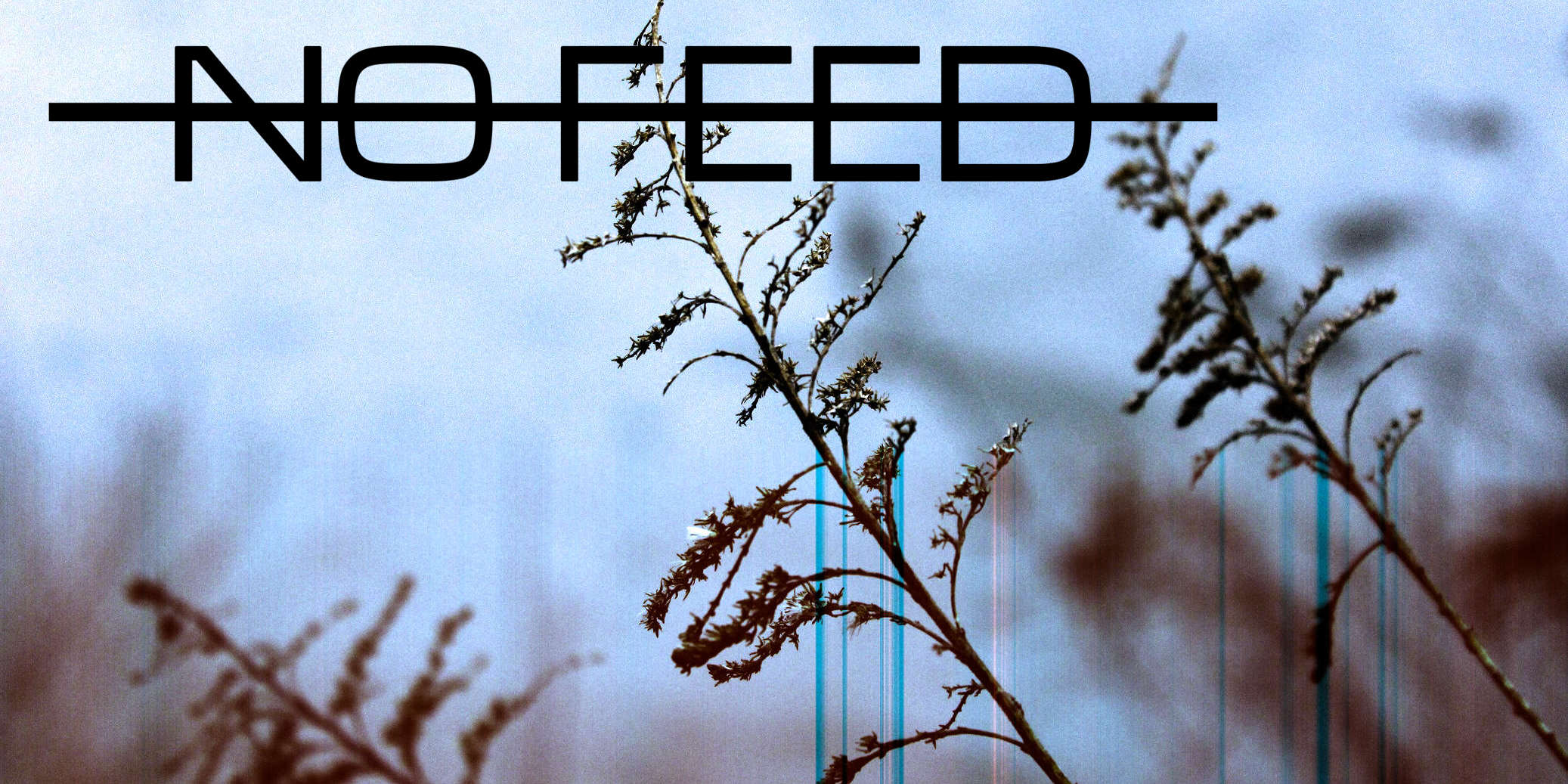 NO FEED - Music